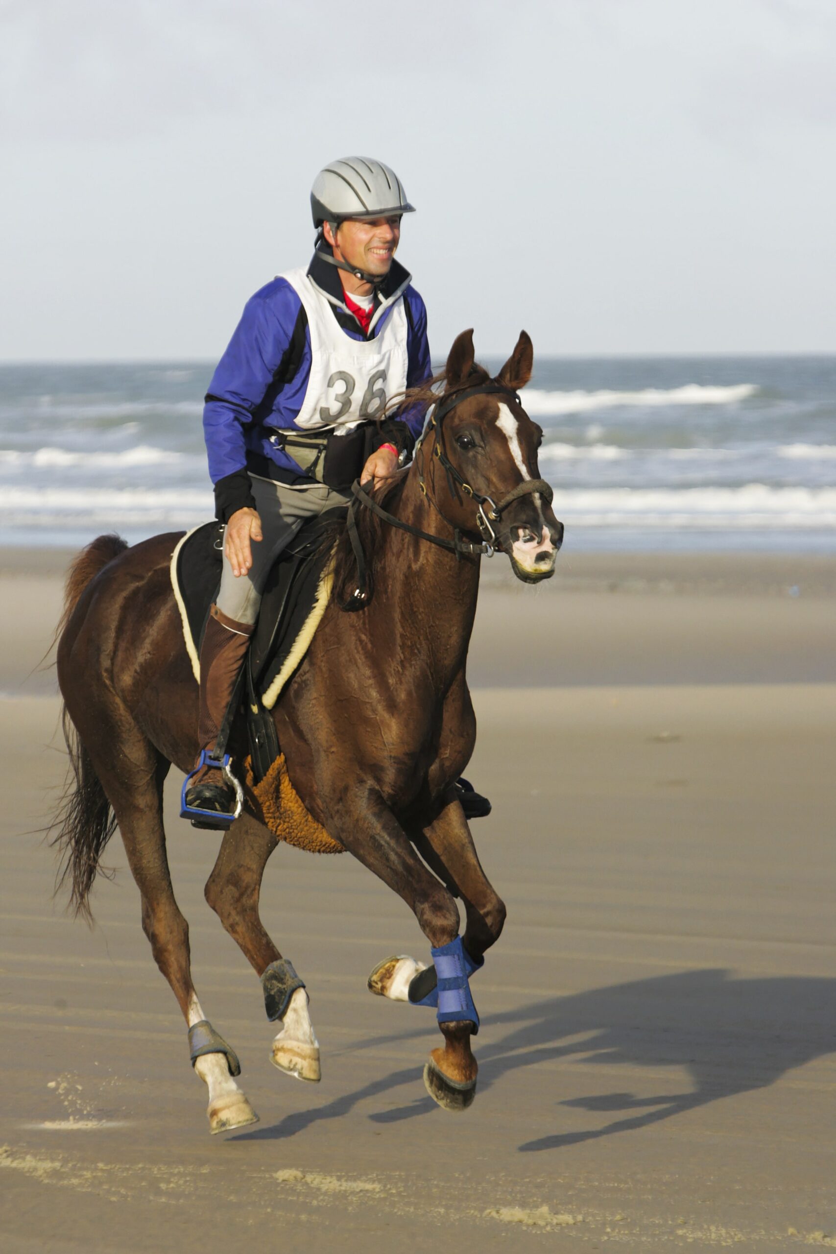 Discipline Deep Dive: Endurance Riding for Horse Rookies - Horse Rookie