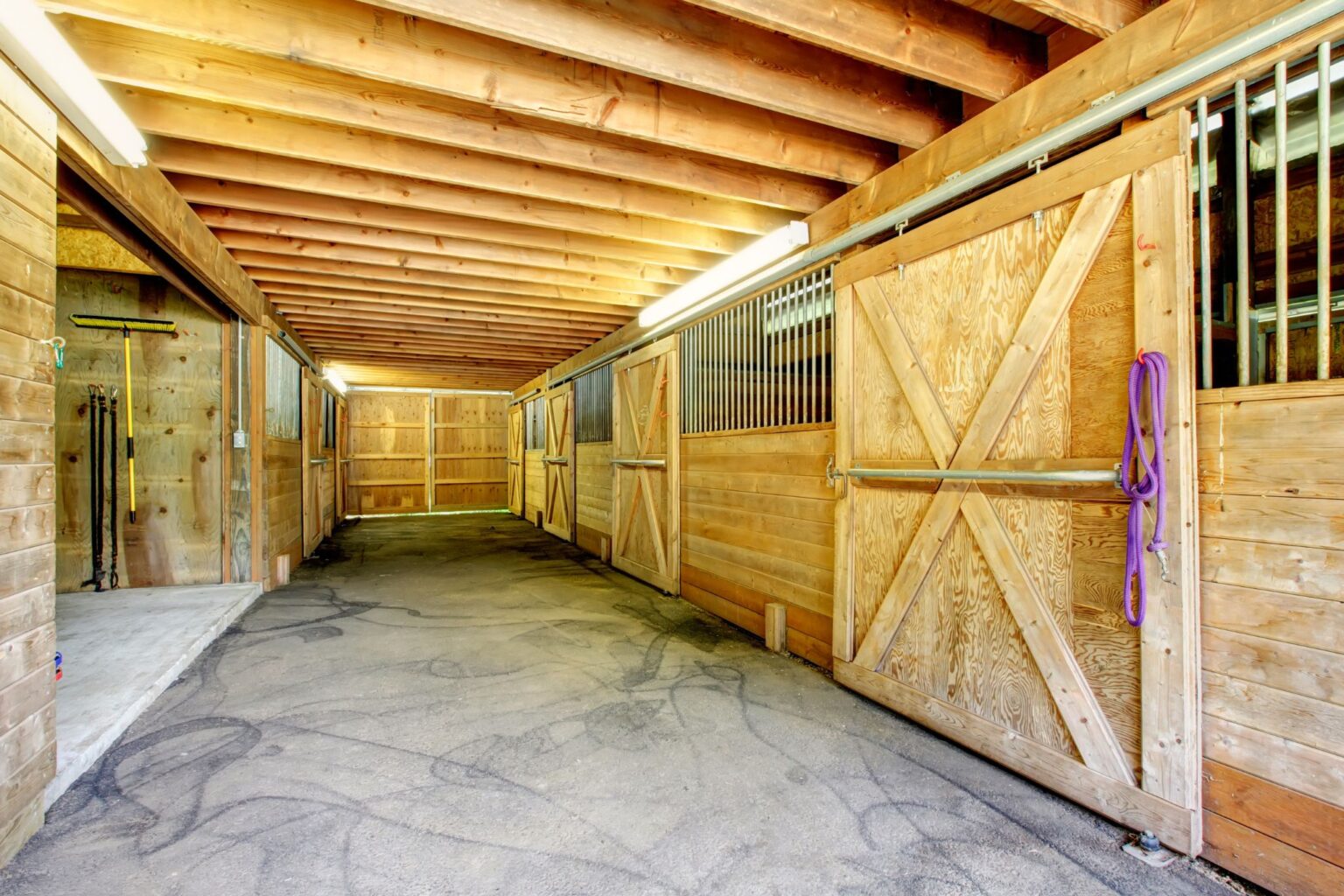 Horse Boarding Basics (Etiquette *Everyone* Should Know) - Horse Rookie