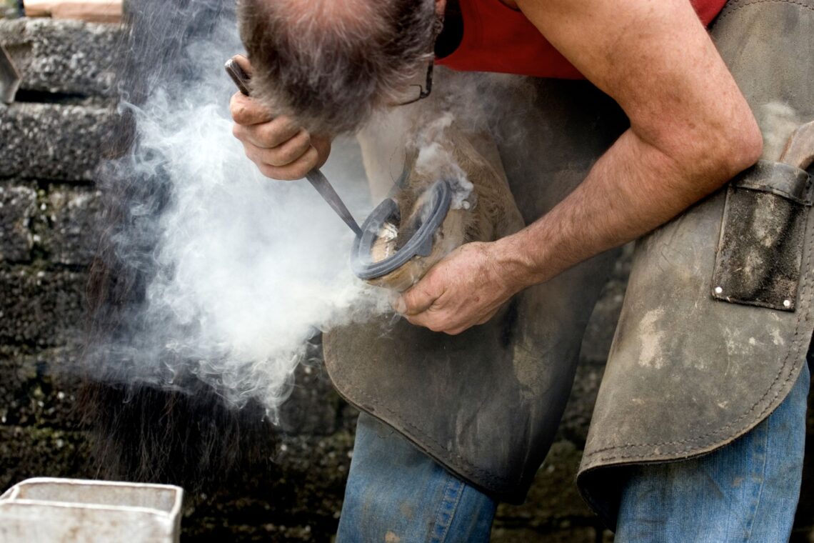 Tips for Finding a Fantastic Farrier - Horse Rookie