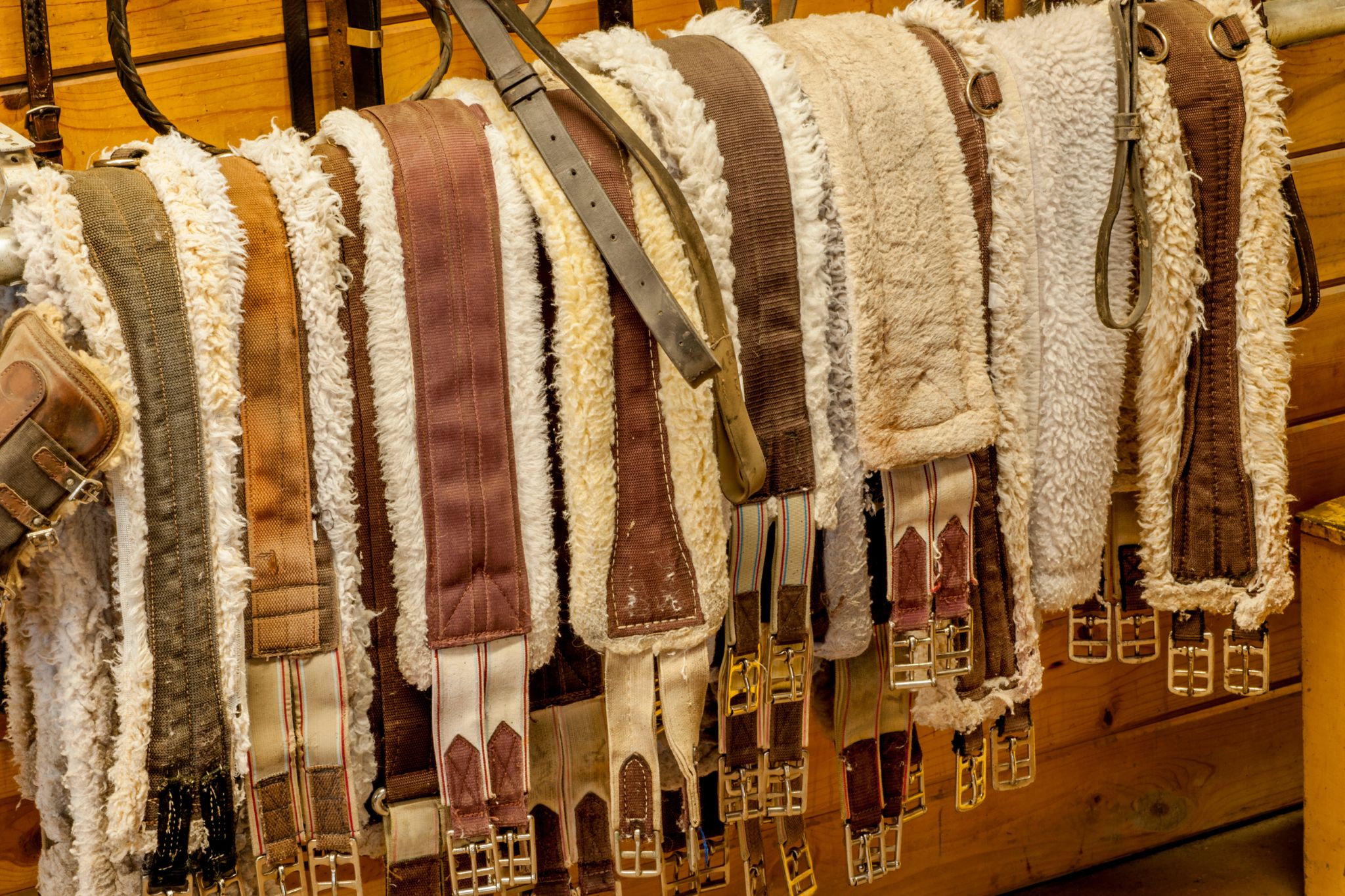 A Safe Bet: Choosing the Perfect Horse Tack & Equipment - Horse Rookie