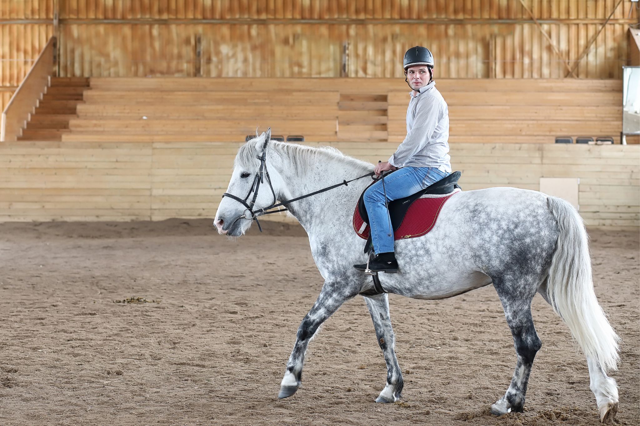 Horse Riding 101: How to Stay Safe in the Saddle - Horse Rookie