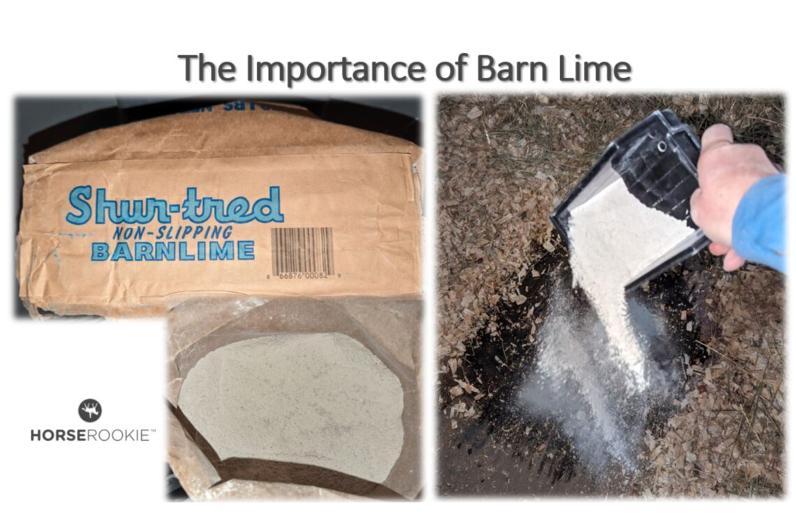 Barn Management Best Practices for Burros - Horse Rookie
