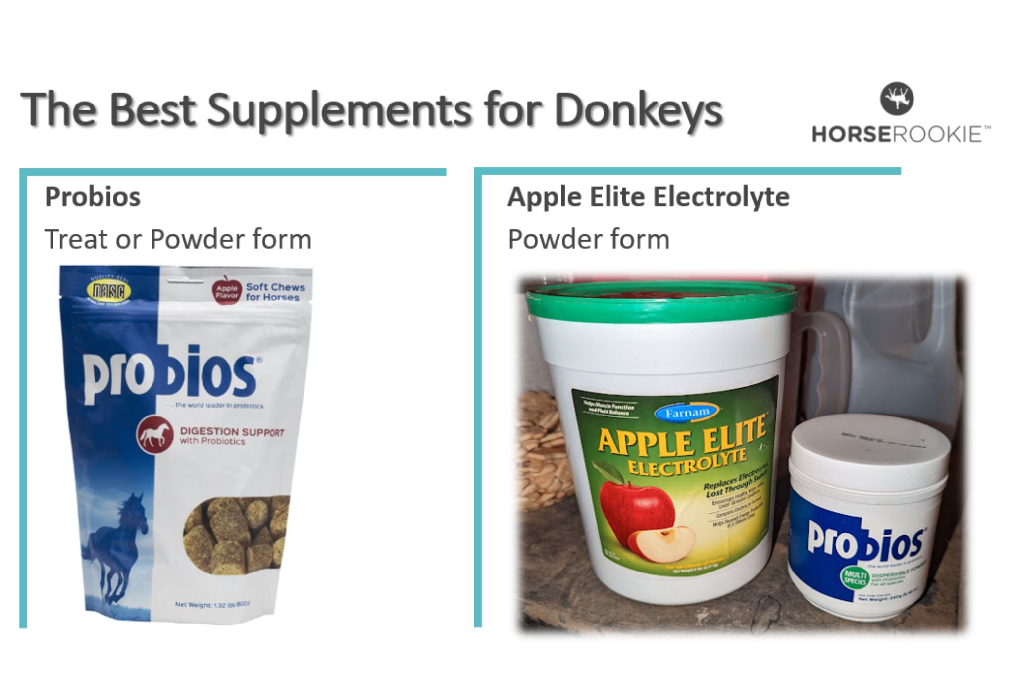 Barn Management Best Practices for Burros - Horse Rookie