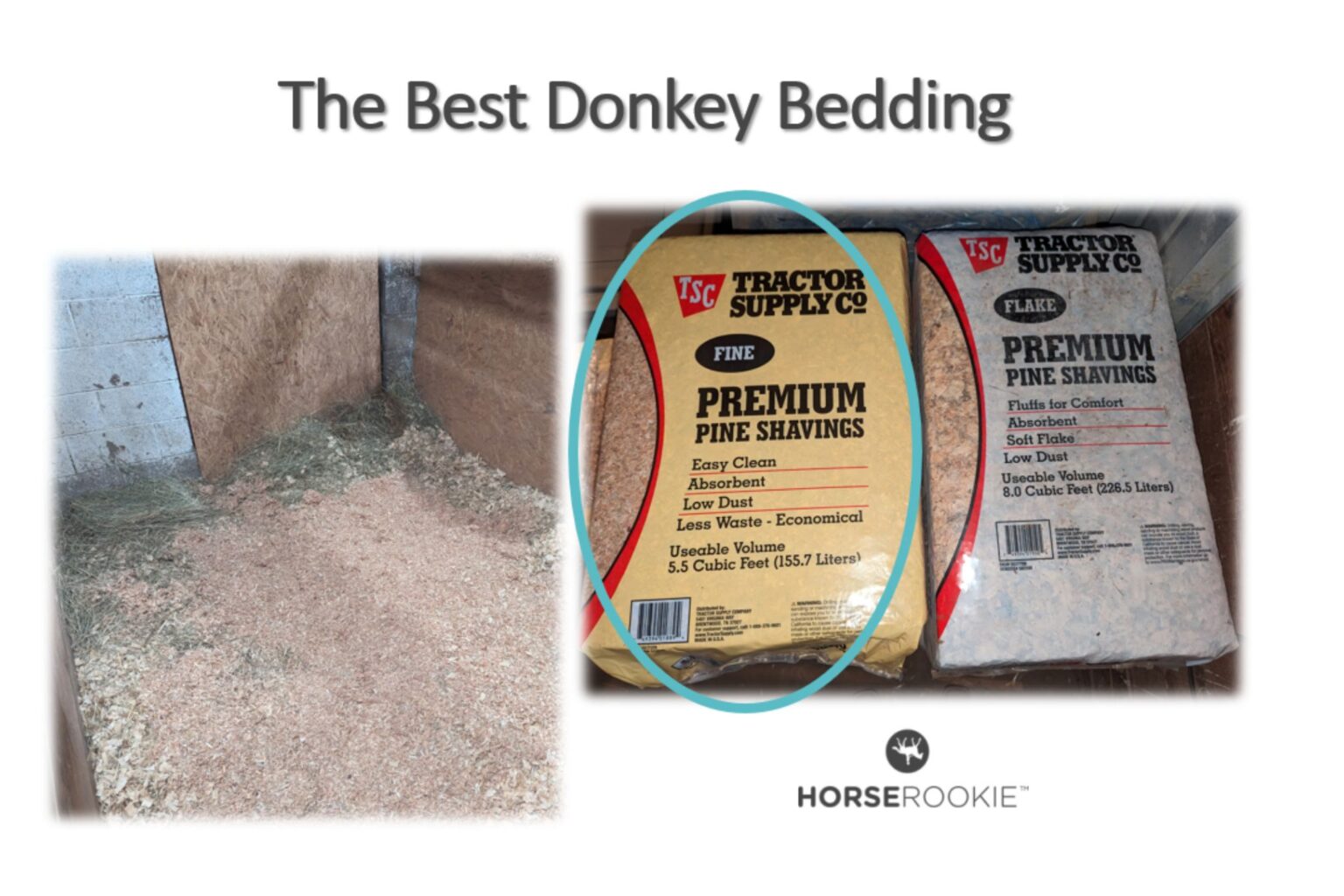 Barn Management Best Practices for Burros - Horse Rookie