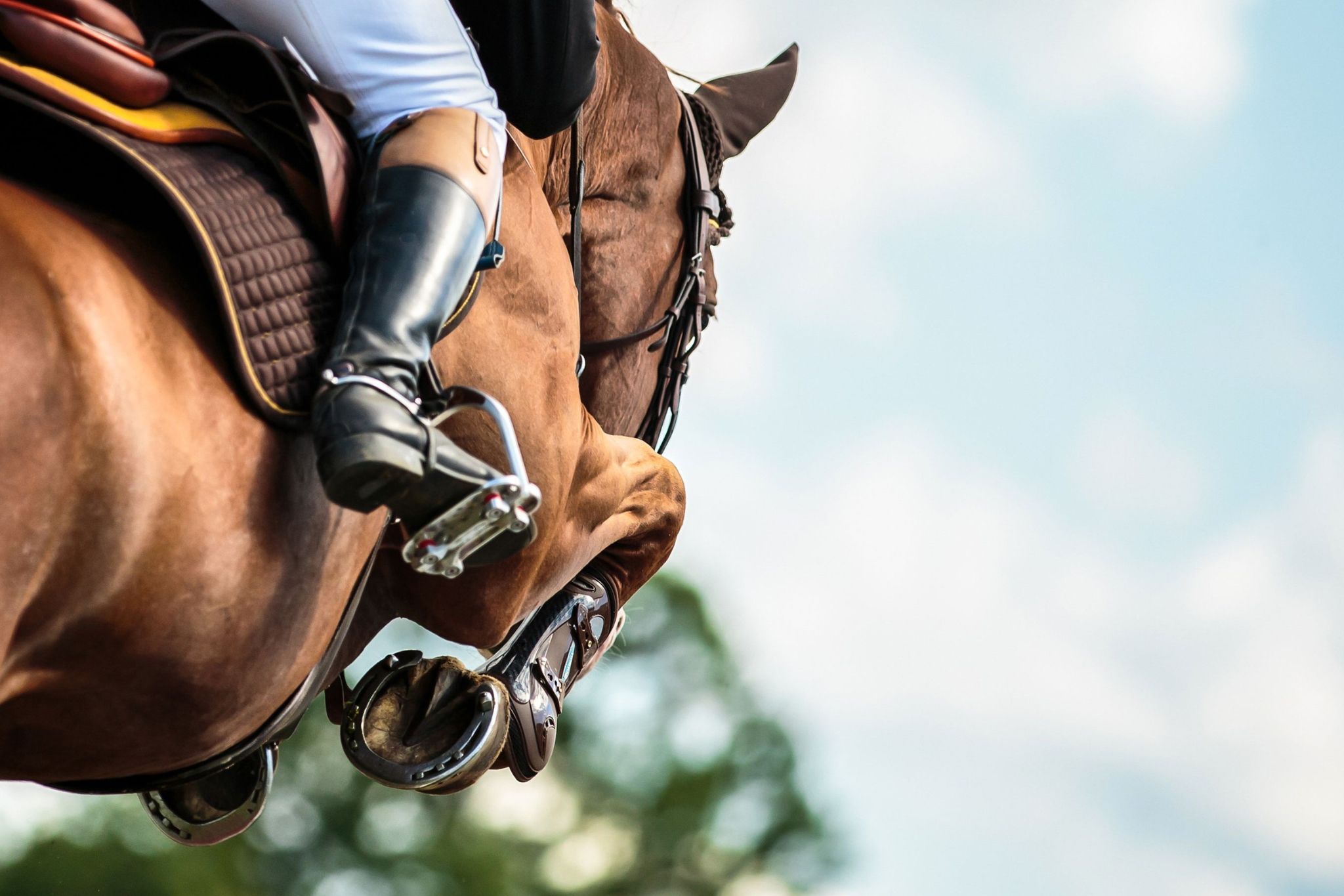 How to Ride a Jump Course - Horse Rookie
