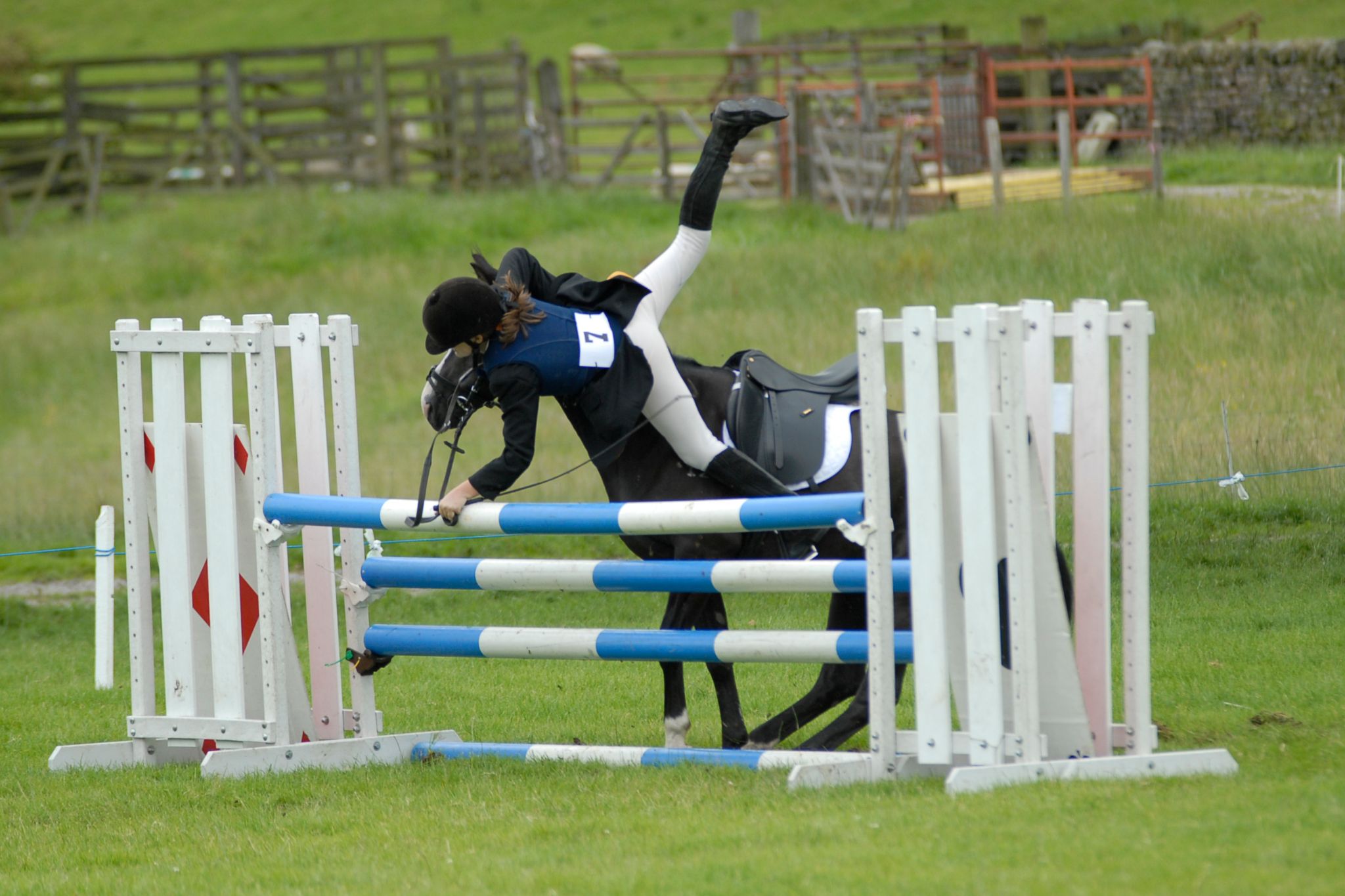 How to Ride a Jump Course - Horse Rookie