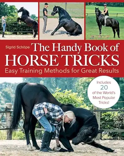 25 Best Books for Horse Training with Intention - Horse Rookie